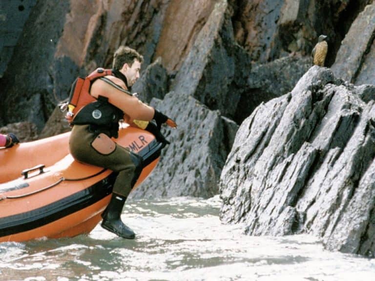 About BDMLR - British Divers Marine Life Rescue