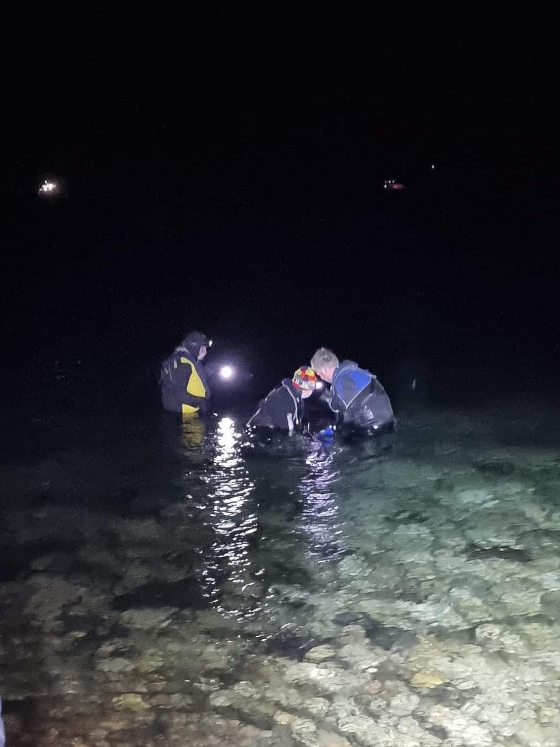 Harbour Porpoise refloated in Orkney - British Divers Marine Life Rescue