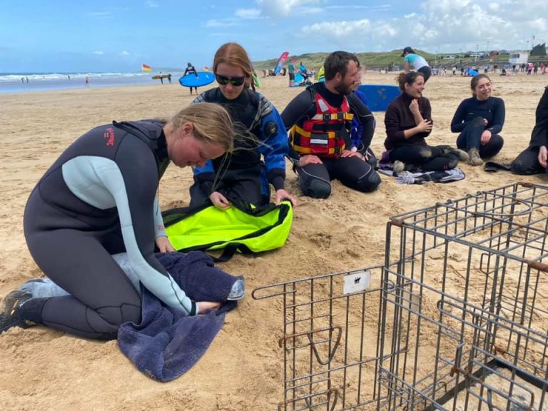 BDMLR expands to cover Northern Ireland - British Divers Marine Life Rescue