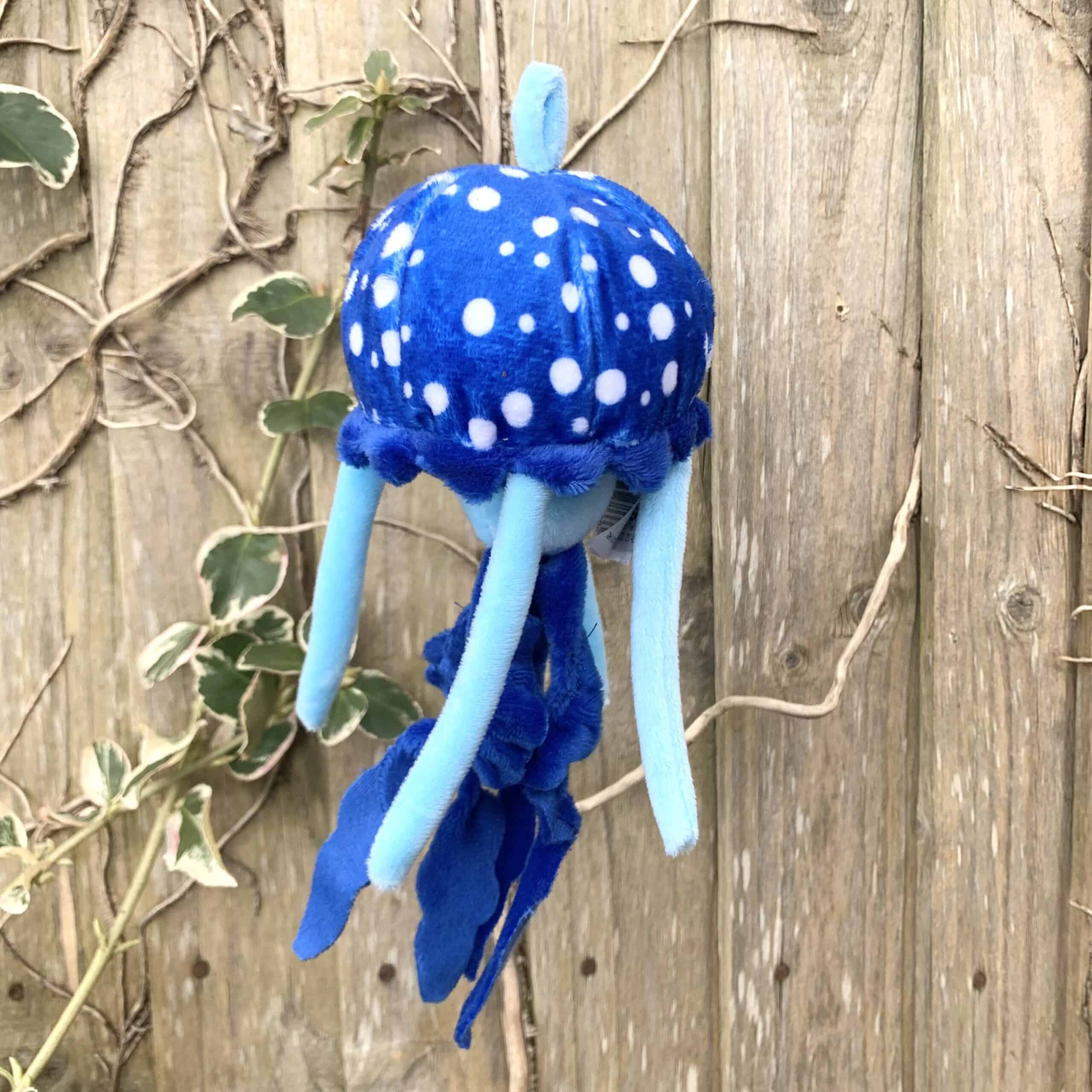 Little jellyfish - British Divers Marine Life Rescue