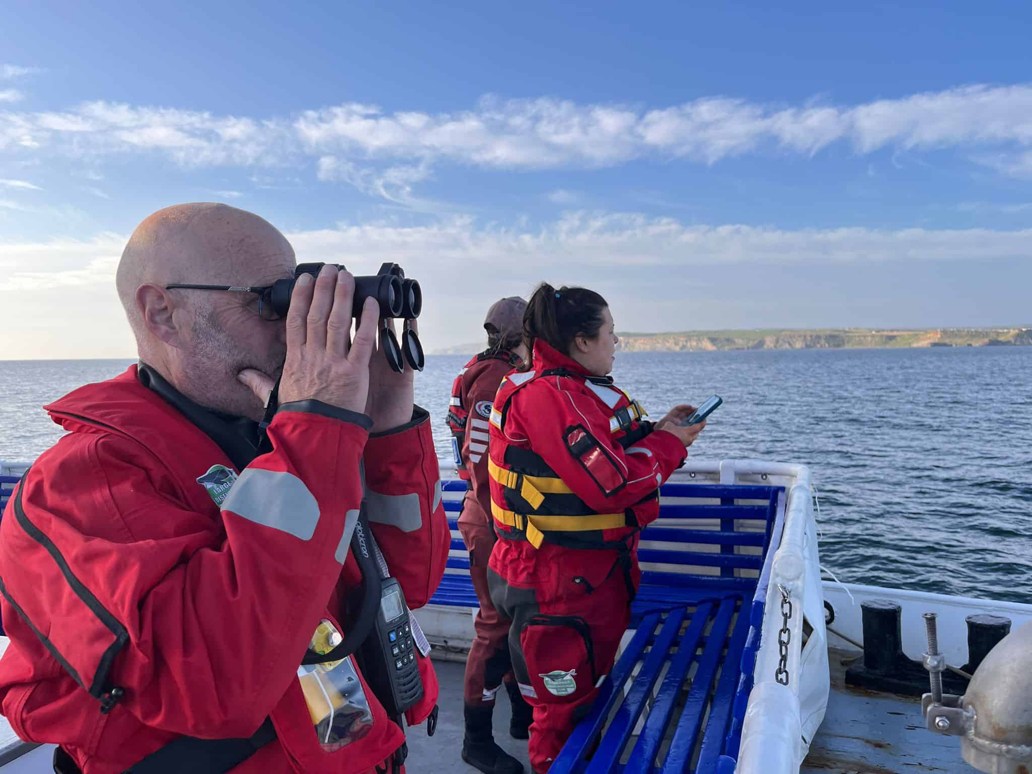 Whitby entangled minke whale - British Divers Marine Life Rescue
