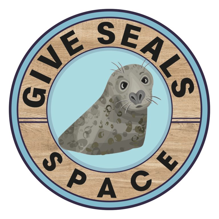Give Seals Space: Campaign Launch - British Divers Marine Life Rescue